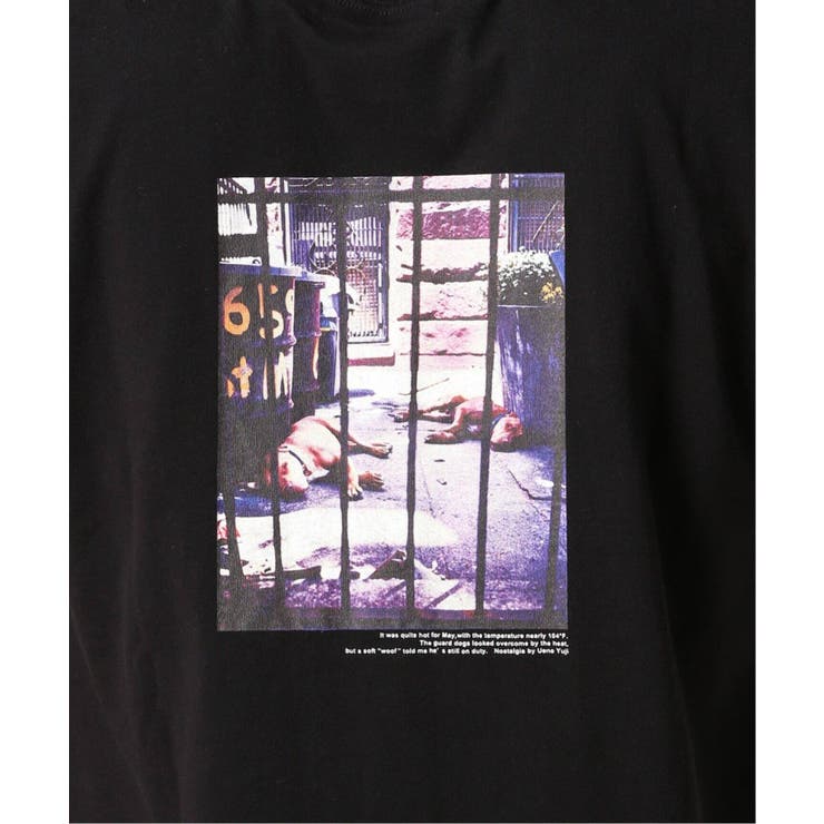 【Nostalgia by Yuji Ueno】DogフォトT [品番：BYCW0007944]｜B.C STOCK（ベーセーストック）の ...