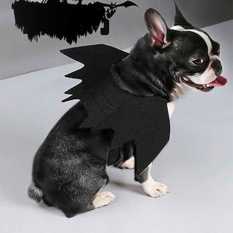 【7227】ペットハロウィーンコスチューム [品番：ASHW0001580]｜SneepDip（スニープディップ）のファッション通販｜SHOPLIST（ショップリスト）